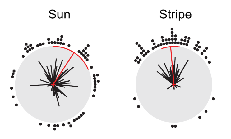 한양대 바이오메디컬공학전공 하계 학부인턴 진짜마지막: 우리가 진행한 실험 (초파리의 menotaxis) : 네이버 블로그