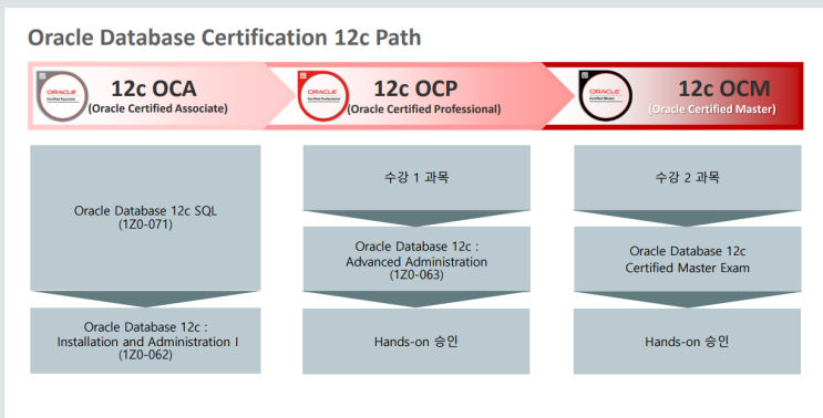오라클 DB자격증 OCP 공부 방법과 준비 시간 : 네이버 블로그