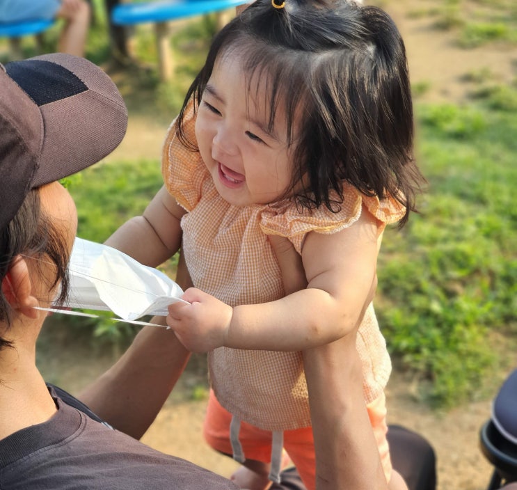 8개월 아기 발달 기록 8개월 차 아린이 혼자 앉고 기어다니기 잡고 걸어다니기 네이버 블로그