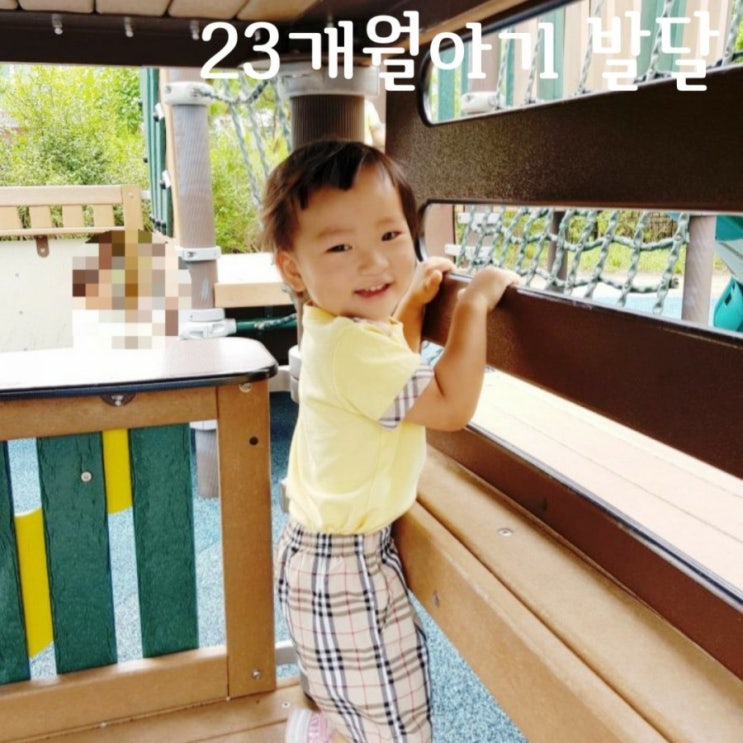 23개월아기발달 신체 사회정서 언어 인지 기본생활 언어폭발 오 말 좀 통하는데 네이버 블로그