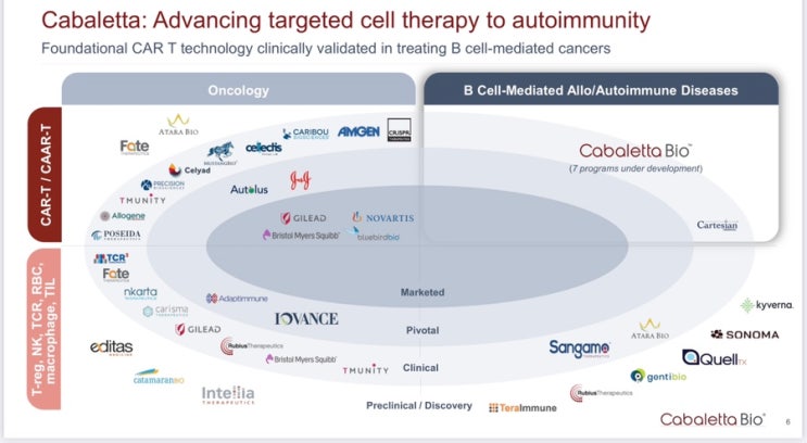 Cabaletta bio.(티커 CABA) -(2) : 네이버 블로그