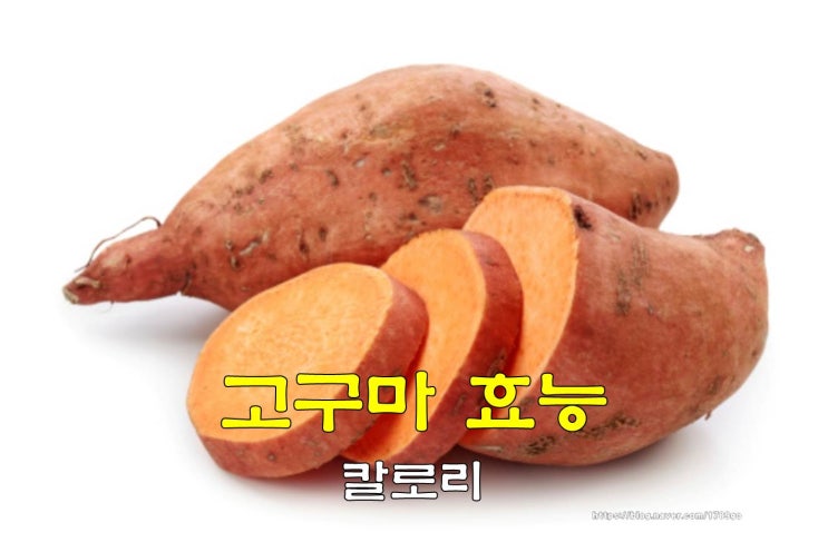 고구마 칼로리 효능 알아보니 다이어트에 관심이 더 네이버 블로그