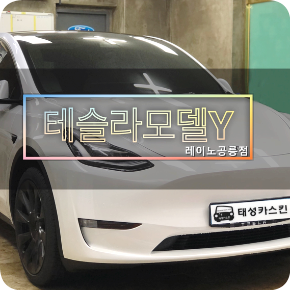 테슬라 모델y 열차단썬팅 고민되시나요 레이노s9 윈도우틴팅 노원구 중랑구 강북 도봉 별내 공릉 신내 묵동 네이버 블로그