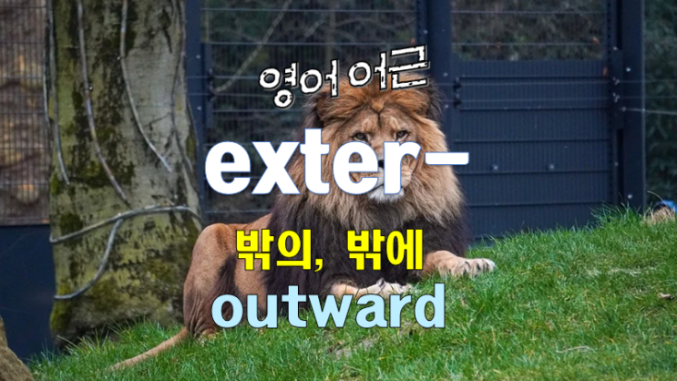 영어어원사전 - 영어단어 exterior, extern, external의 라틴어 어근 exter, extrem : 네이버 블로그