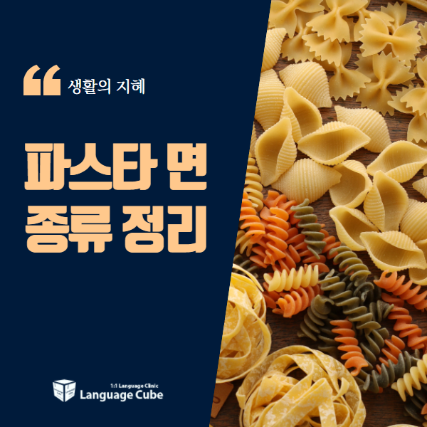 파스타 면 종류 정리! 스파게티 더 맛있게 즐겨요~ : 네이버 블로그