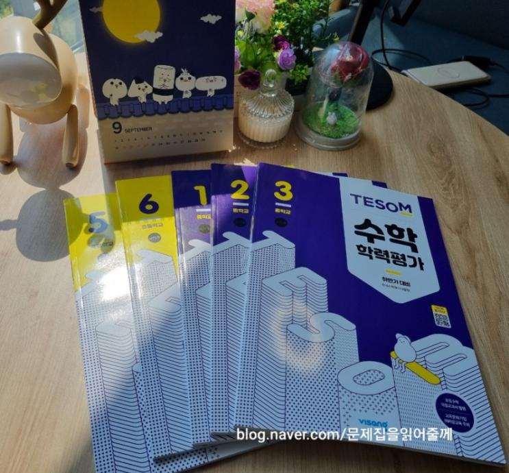 수학학원 원장님의 Tesom 문제집 솔직 후기 네이버 블로그