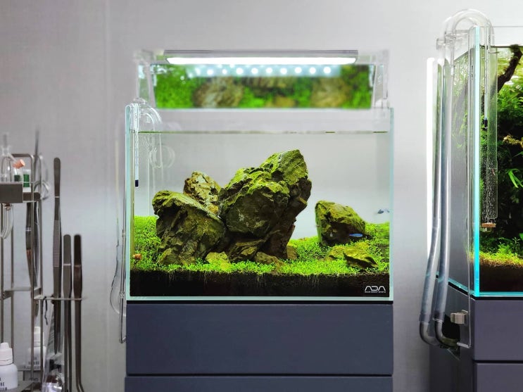 ADA mini m 석조 / Day 28. 미니티그마 런너 : 네이버 블로그