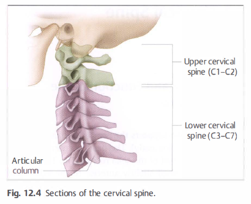CAPITAL FLEXION 이란?? : 네이버 블로그