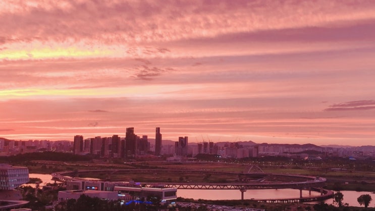 세종시 랜드마크 금강 보행교 저녁노을 : 네이버 블로그