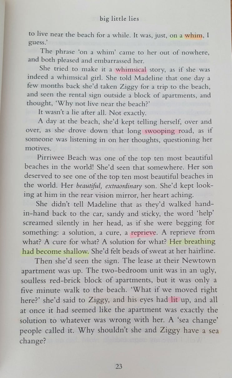 Big little lies (p23) : 네이버 블로그