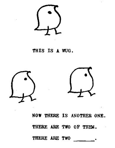 Wug Test : 네이버 블로그