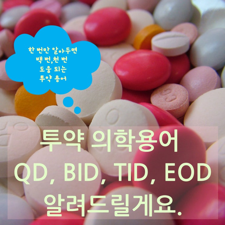 의학용어 QD, BID, TID, QE, EOD 어떻게 쓸까요? : 네이버 블로그