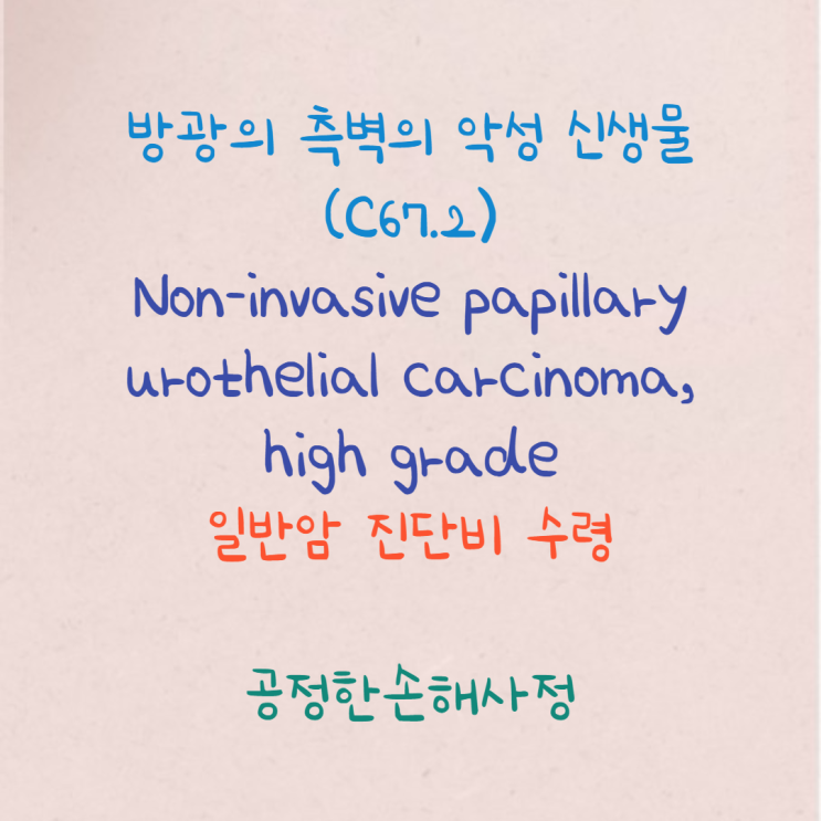 방광의 측벽의 악성 신생물c672 진단되었는데 암진단비 지급 받지 못하셨나요 공정한손해사정사와 상의하시길 바랍니다