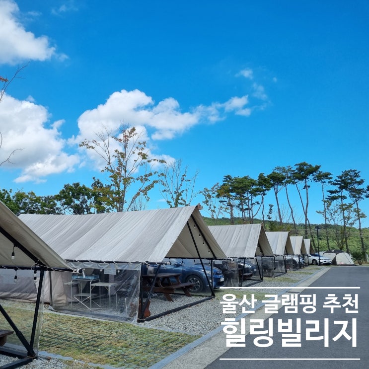 경남 울산 글램핑캠핑장 울산 서생 힐링빌리지 글램핑장수영장이 있는 리조트급 캠핑장 네이버 블로그