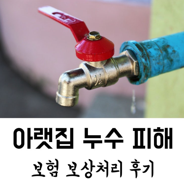 아랫집 누수 보험금 청구 절차 ★총정리★ 태아보험·어린이 보험으로 보상처리한 후기 L 필요한 서류 Feat 일상생활중배상책임