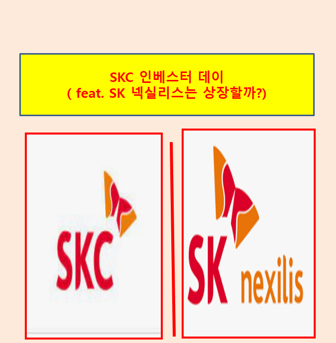회사 쪼개기 달인 SK그룹 ( SKC의 넥실리스 IPO) : 네이버 블로그