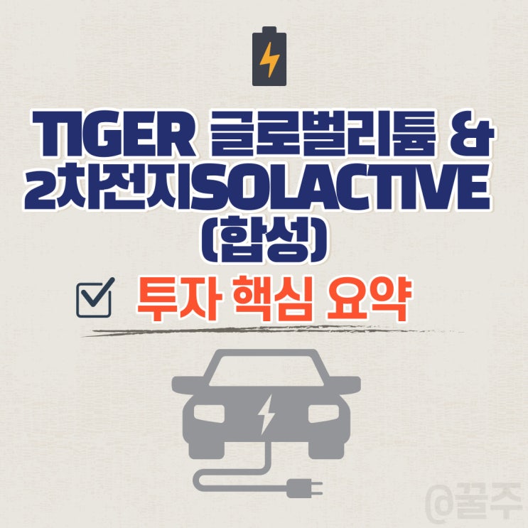 TIGER 글로벌리튬&2차전지SOLACTIVE(합성) ETF 총정리 : 네이버 블로그