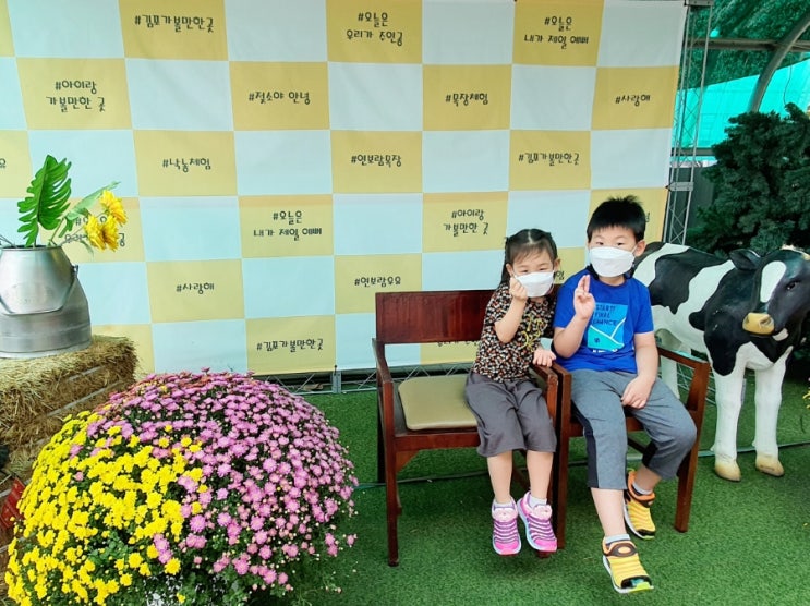 아이랑갈만한곳 김포 연보람목장 낙농체험 치즈만들기 피자만들기 젖소짜기체험 트랙터타기 체험 목장체험 추천 네이버 블로그