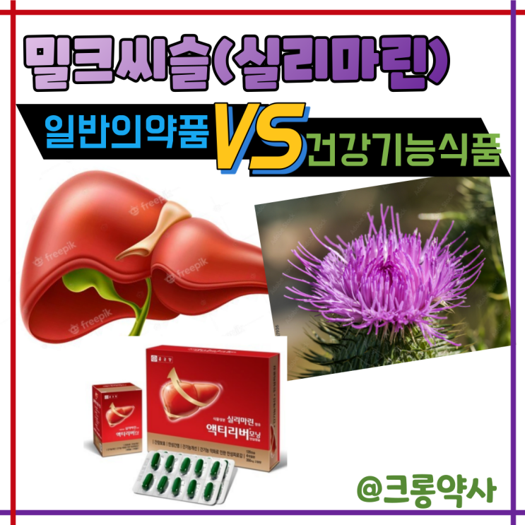 약국 간장약 밀크씨슬실리마린 의약품 Vs 건강기능식품 차이가 뭔가요 네이버 블로그
