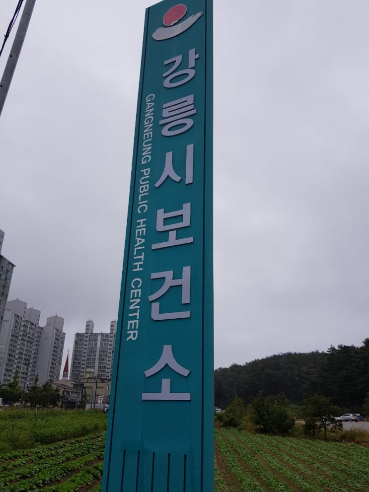 강릉보건소 : 네이버 블로그