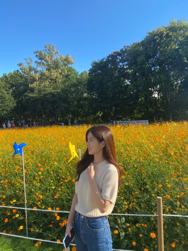 올림픽공원 들꽃마루 위치가는 방법포토스팟 주차정보 2109 개화소식🌼 네이버 블로그