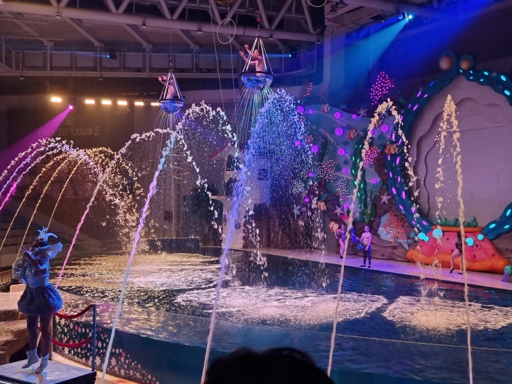오션아레나 Ocean Arena 1부 댄싱 페스티벌 다이빙 쇼 : 네이버 블로그