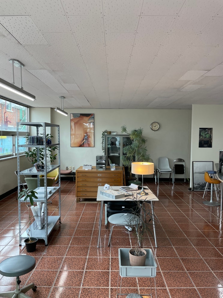 [일주일 제주 여행] Day3 맛존디 고기 국수, 제주 테(Tea)카페, 스틸네거티브클럽, 세컨드뮤지오 프레임커피, 산방산 탄산 ...