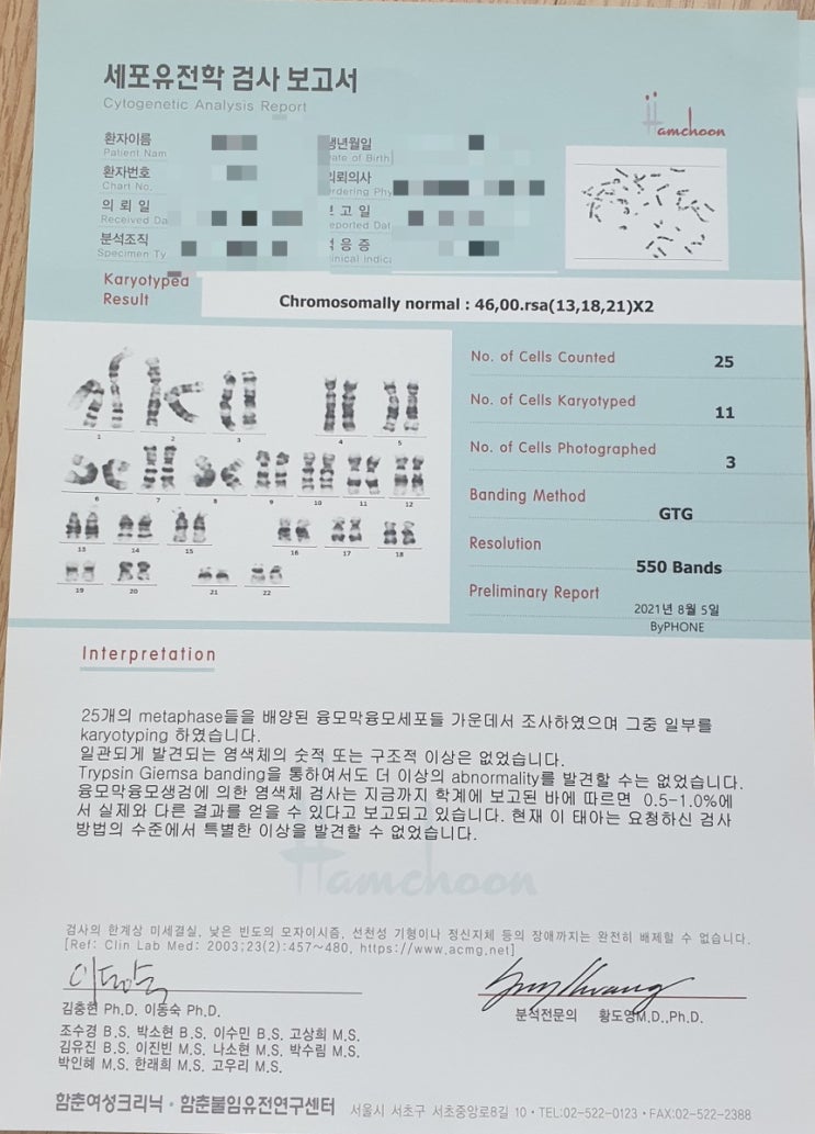 17주차 임신일기 서초함춘 유전자 검사 결과융모막검사결과목둘레46mm 이상없음 네이버 블로그