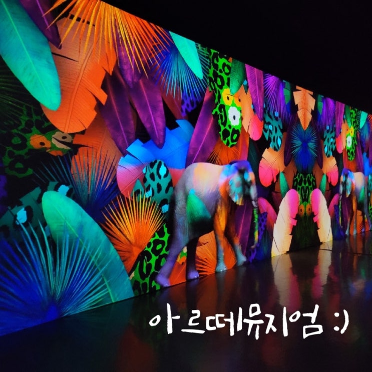 제주도 애월 가볼만한곳 아이와 함께 또는 연인들 데이트 장소 추천 미디어아트전시관 아르떼뮤지엄 네이버 블로그