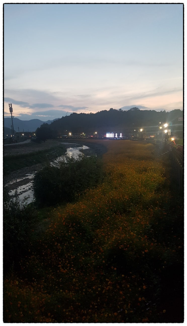 금산 산책길~ 밤에 보고 눈에 그리는 그림들^^ : 네이버 블로그