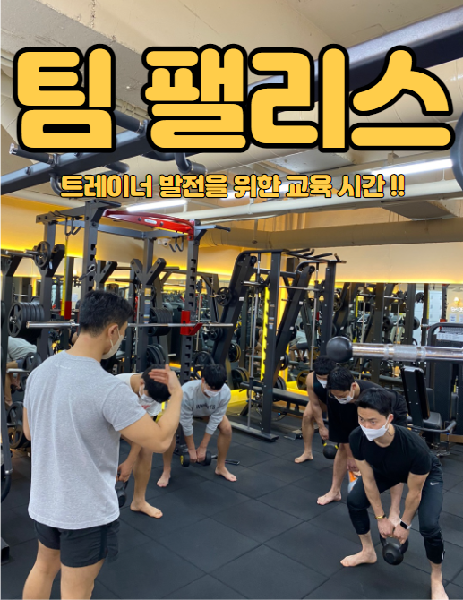 좋은 운동센터의 기준 팰리스 피트니스 X 프로 팰리스 짐 만덕덕천사상모라pt헬스피티 네이버 블로그