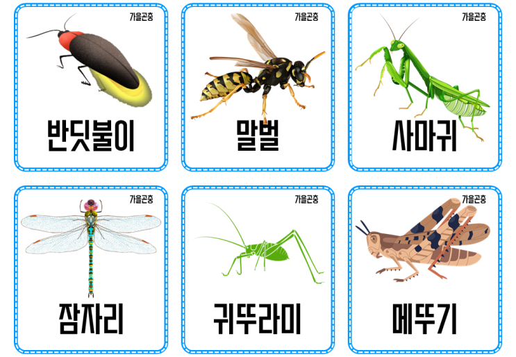 가을에 볼 수 있는 곤충 네이버 블로그