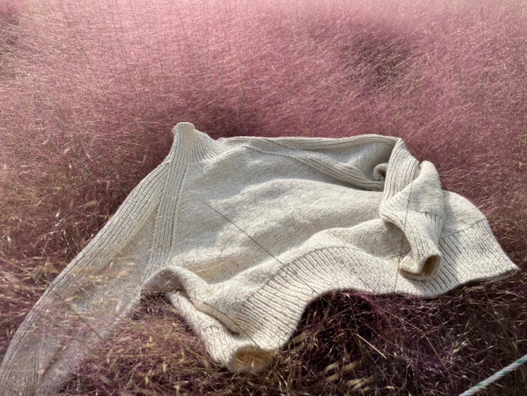 제주핑크뮬리와 isager dune : 네이버 블로그