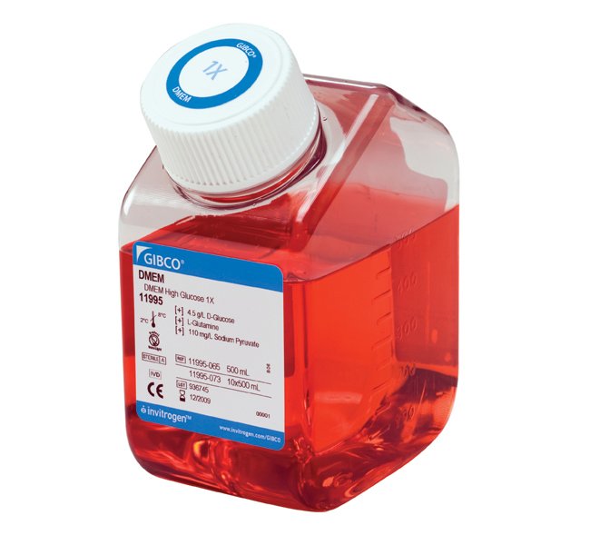 Cell culture - HEK 293T Cell : 네이버 블로그