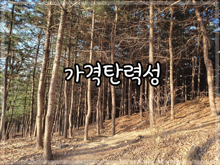 공인중개사시험 부동산학개론 계산문제 어떻게푸나요 문제유형분석2 가격탄력성과 교차탄력성 네이버 블로그