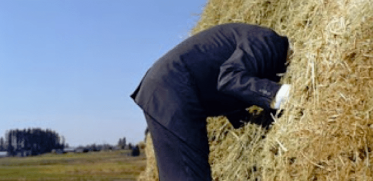 [유용한 영어표현] a needle in a haystack - 사막에서 바늘찾기, 지푸라기 속에서 바늘찾기, 찾기 어렵다 ...