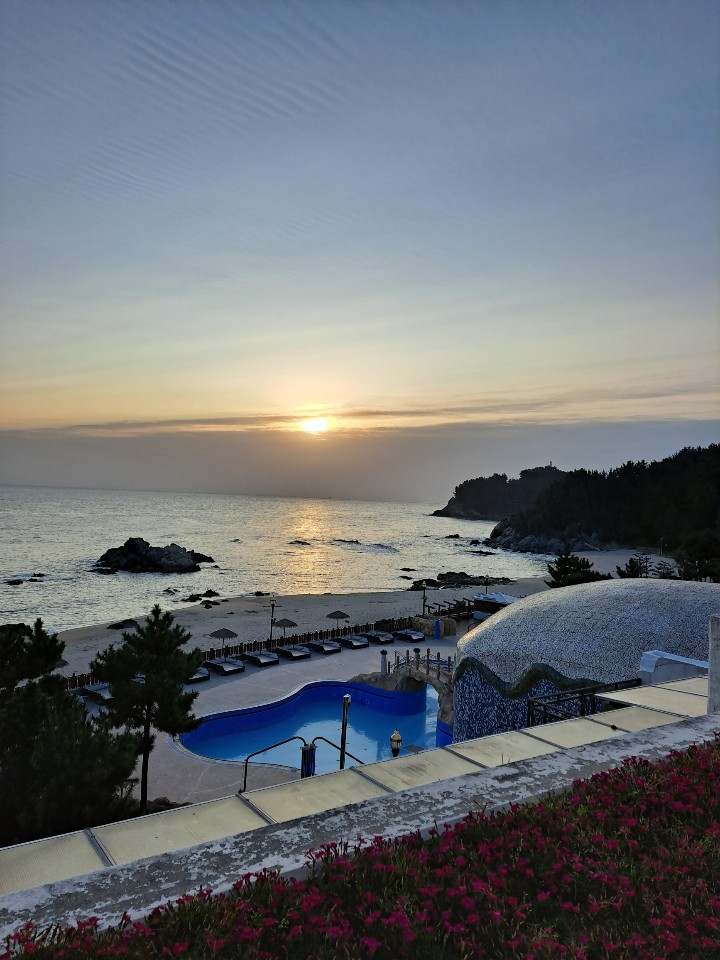 adieu 2020년 (한해를 보내며....) : 네이버 블로그