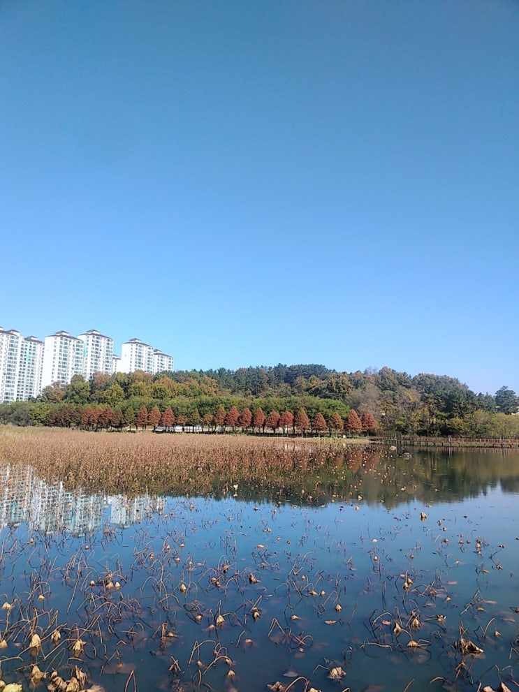 나주 대호수변공원 : 네이버 블로그