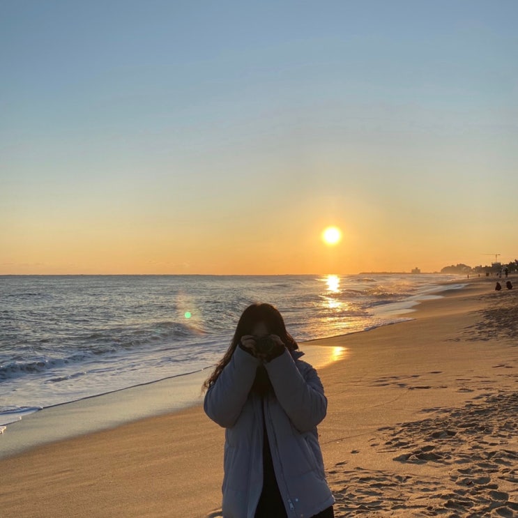 2020 돌아보기 : 네이버 블로그