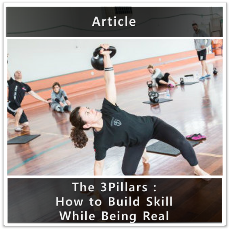 The 3 Pillars : How to Build Skill While Being Real (3가지의 기둥 : 현실 속에서 기술을 구축하는 방법 : 네이버 블로그