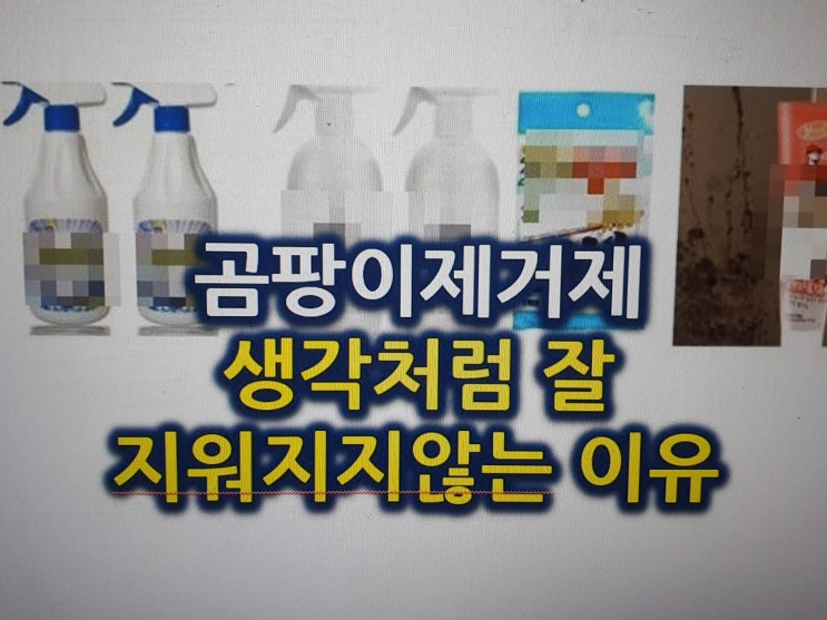 욕실 벽지 곰팡이 제거 방법 1 곰팡이 제거제 잘 지워지는 이유 네이버 블로그