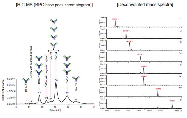 cys-linked ADC의 HIC-MS(online native) : 네이버 블로그