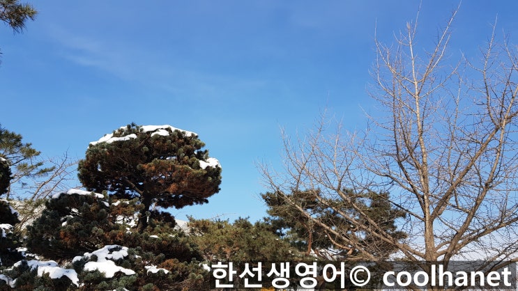 블레이즈 파스칼 팡세 영어 명언·내용 삶·인생철학 인간은 생각하는 갈대 사유 진리 이성 송파 방이동 강동 중고등영어학원 정리