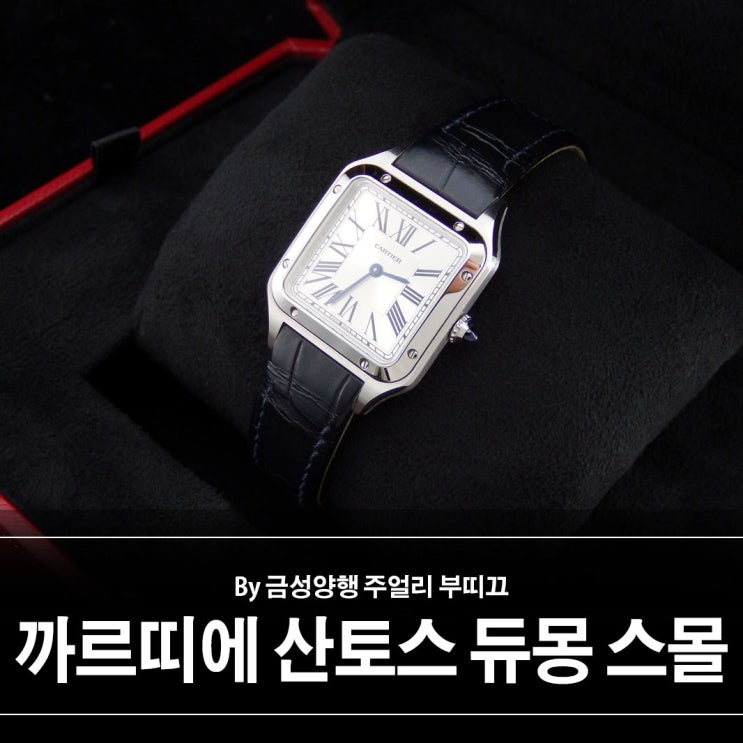 [중고] 까르띠에 산토스 스몰 뒤몽 WSSA0023 : 네이버 블로그