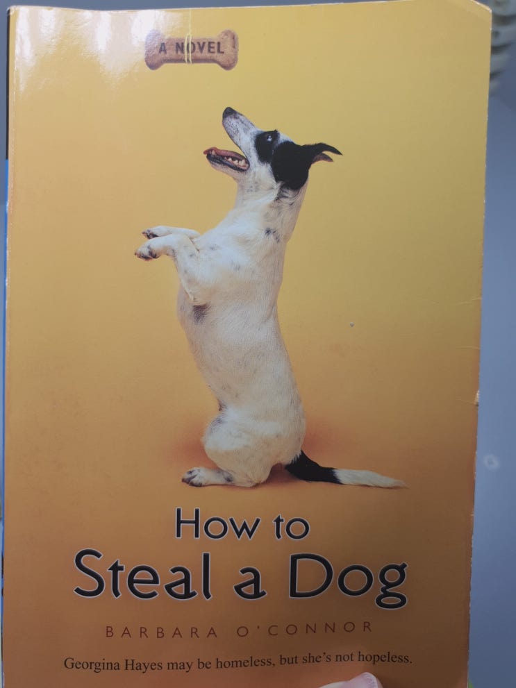 How to steal a dog/ Barbara o'connor : 네이버 블로그