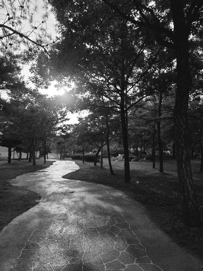 [Dylan Thomas] - Do not go gentle into that Good Night : 네이버 블로그