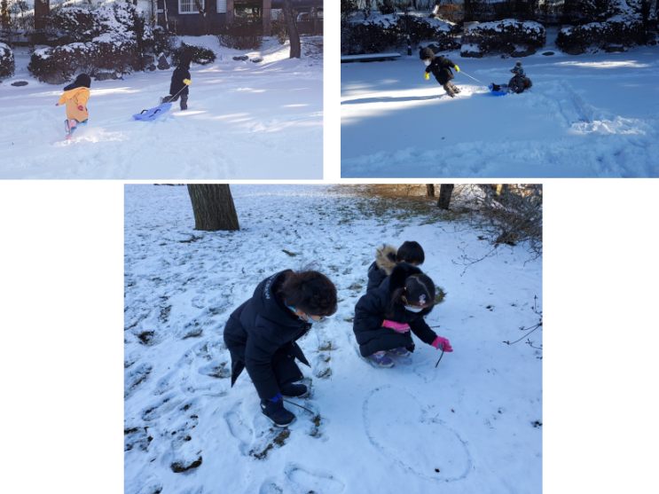 숲생태교육 및 녹색환경교육 생태놀이지도사 3급 : 네이버 블로그