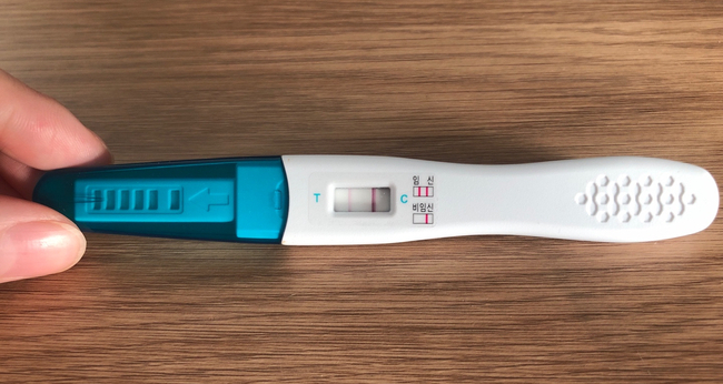 일산 차병원 난임센터 시험관 동결배아이식 1차 성공 허진영 교수님 네이버 블로그