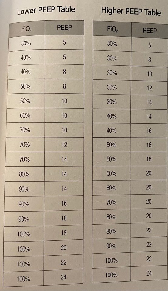 [용어] PEEP : 네이버 블로그