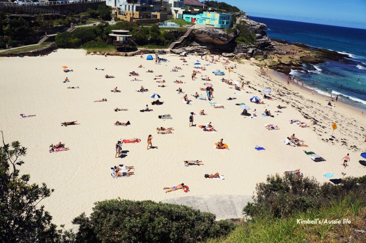 호주 여행 시드니 당일 여행파도 무서워도 서핑 못해도 놀 수 있는 곳 브론테 비치bronte Beach 그리고 해안가
